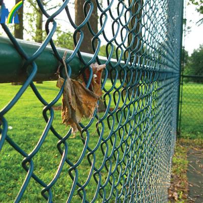 China Hot Sale PVC Coated Chain Link Fence for sale