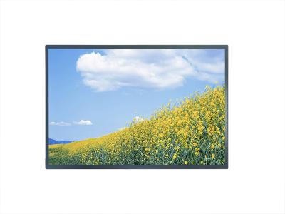 China 17-inch FHD 1920x1200 Pixels Industrial Liquid Crystal Display Panel with 88/88/88/88 Viewing Angles and Wide Operating Temperature for sale