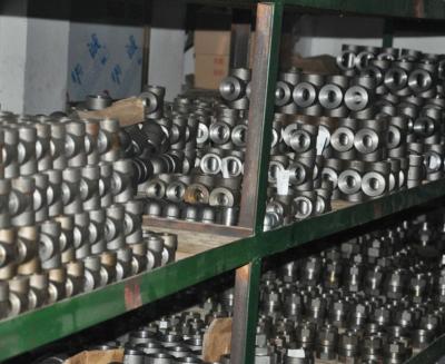 China Forge Fitting Forge Fitting Supplier Flange for sale