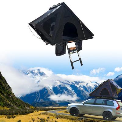 Cina 4x4 Triangolo Ombra Esterno 2000mm-3000mm Tenda sul tetto E telone in vendita
