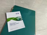 China Custom Single Coat Green PS Printing Plate for Offset Printing Machine 200000 Run Length for sale