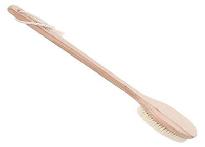 China Professional Shower Brush Long Handle Soft Bristle Brush for Skin Care for sale