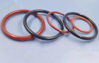 China Wear Resistant Encapsulated O Ring Multifunctional for sale