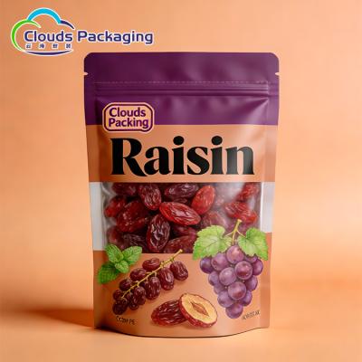 China Stand Up Pouches With Zip Closure Custom Plastic Packaging Bag For Raisin Dried Fruits Snack for sale