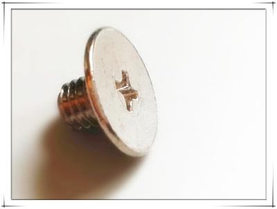China Cross recessed large flat head with M5*6 nickel plating finish special screw for sale
