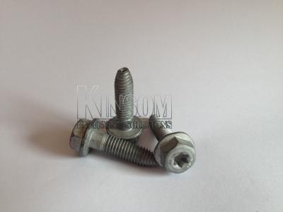 China Special Hex head six-lobe socket with wings screw for sale