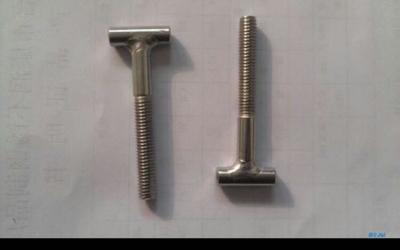 China T bolts C45 black zinc plated special cold forging bolts for sale