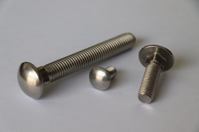 China Stianless Steel Carriage Bolt Customized Size M5-M20 Bolts Polishing Finish Surface for sale