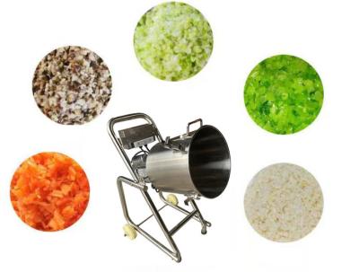 China Fruit and vegetable pulp juice making extractor machine for Mango, Tomato for sale