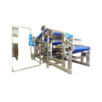 Professional Custom Industrial Cold Press Juicer Apple Juice Belt Type Press