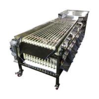 China Fruit Avocado Oranges Dates Size Grading Sorting Machine Mutifunction Automatic for sale