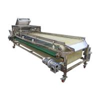 China Fruit Avocado Oranges Dates Size Grading Sorting Machine Mutifunction Automatic for sale