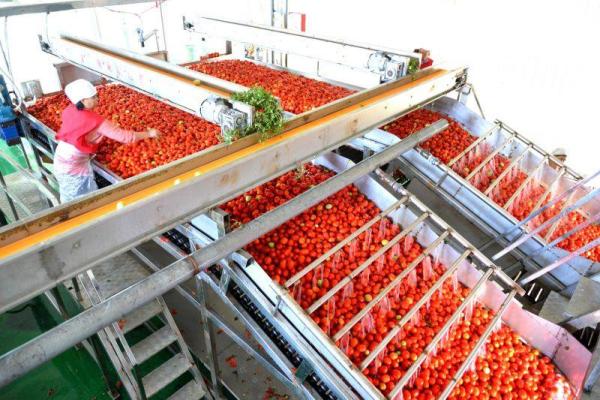 Quality Leadworld Industrial Tinned Tomatoes Canning Production Line For Tomato for sale
