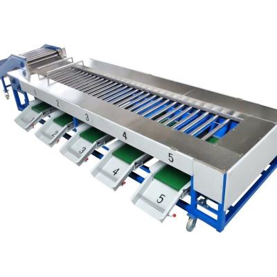 China Fruit Weight Selecting Fruit Vegetable Processing Machine For Grading Sorting Fruit for sale