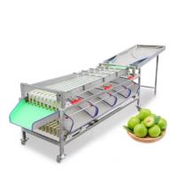 China Automatic Fruit Size Grader 220V Fruit Weight Selecting Machine for Vegetable Processing for sale