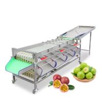 China Automatic Fruit Size Grader 220V Fruit Weight Selecting Machine for Vegetable Processing for sale