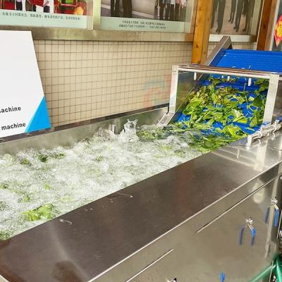 Κίνα Εμπορική Αυτόματη Μηχανή Μεταφοράς Πλυσίματος Λαχανικών, Λουτρό Βύθισης Κρεμμυδιού Για Τροφή, Κινητήρας Κεντρικής Αντλίας Για Φρούτα Νερό προς πώληση