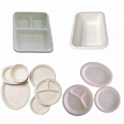 Cina Macchine di termoformatura per imballaggi alimentari di riciclo in vendita