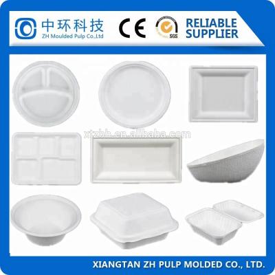 China Clamshell Food Packing Container Making Machine 20t Paper Tray Forming for sale