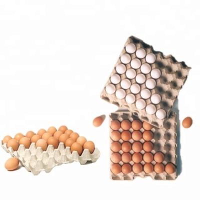 China Heavy Egg Box Forming Machine 440V Egg Tray Production Line Fully Automatic for sale
