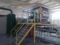 China Forming Automatic 30-Hole Pulp Egg Tray Machine  PLC control Customized for sale