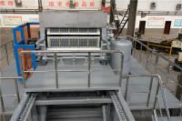 China Fully Automatic Pulp Molding Machine For Making Egg Tray Fruit Tray And Packing Products for sale
