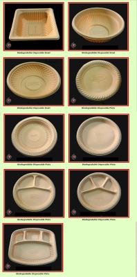 Cina Apparecchiature per la polpa da pasta per alimenti, Biodegradable Plate Making Machine 220V in vendita