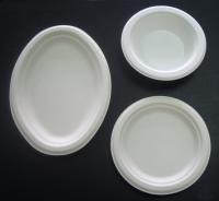 China Automatic Pulp Molding Machine Disposable Paper Plate And Bowl Making Machine For Biodegradable Tableware for sale