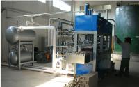 China Automatic Pulp Molding Machine Disposable Paper Plate And Bowl Making Machine For Biodegradable Tableware for sale