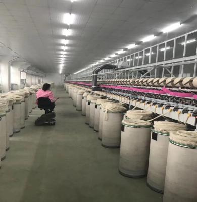 Cina Estremità aperta del cotone del filatoio di Oe piccola che fila Mills Sisal Polyester Poy in vendita