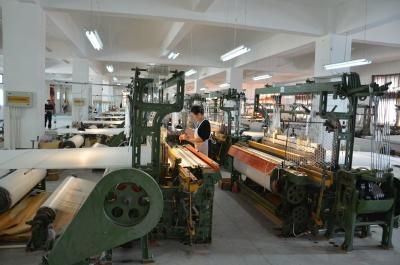 Cina Velluto ad alta velocità del tessuto del telaio della rapière di Home Textile Weaving Machine Company in vendita