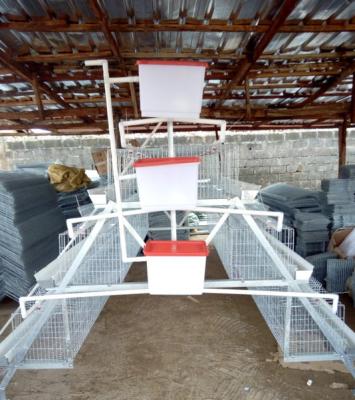 China Quality galvanized A types of chicken cage guangzhou（Whatsapp +86 18790276708 ） for sale