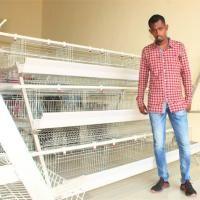 China Big Discount Layer Chicken Cage With Chicken Farm For Poultry Agricultural for sale