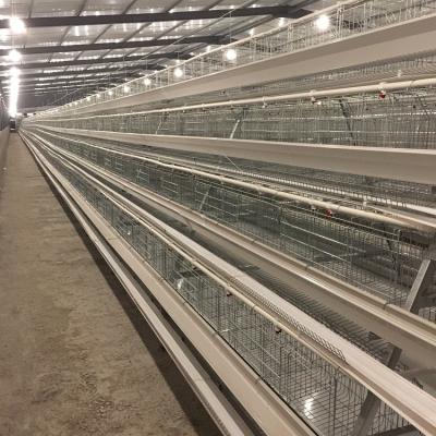 China High Quality Factory Price Ladder Type 4Tiers 128Birds Poultry Chicken Battery for sale