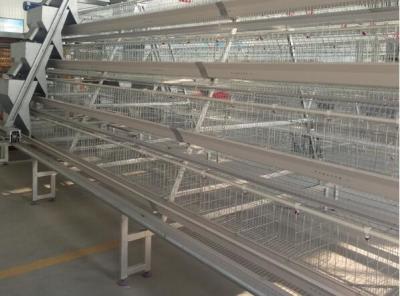 China Factory Cheap Price Cages for Egg Laying Hens Of Layer Chicken Coop Design for sale