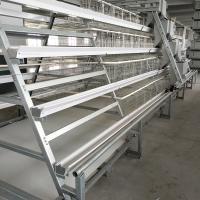 China Chicken Use And Galvanized Steel Wire Material Automatic Chicken Layer Cage for sale