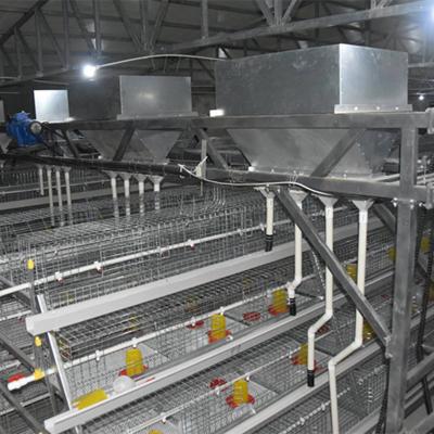 China 3 Tiers Hot Dipped Baby Chicken Cage Poultry Battery Cage System For Kenya Farm for sale