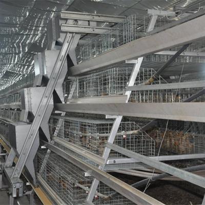 China Baby Chick Cage In India Galvanized Baby Chicks Breeding Cage For Poultry for sale