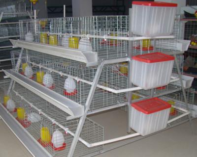 China 3 Tiers A Type Layer Hen Battery Coop Chicken Breeding Cage For Baby Chick for sale