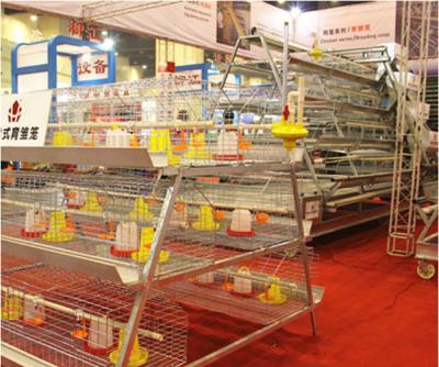 China Hot Sale Q235 Material Poultry Farm Equipment 4Tiers Galvanized Baby Chicken for sale