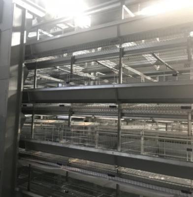 China High Density Raising Enriched Cages For Laying Hens Q235 Steel Wire Material for sale