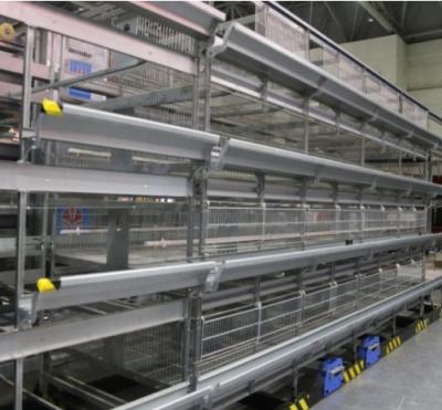 China H Type Broiler Chicken Cage 180 Birds Capacity 1200×625×480 Mm For Chicken Farm for sale