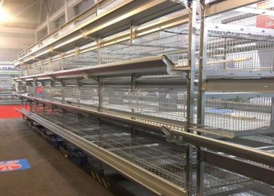 China Galvanized High Strength Egg Laying Chicken Cages 15-20 Years Lifespan for sale