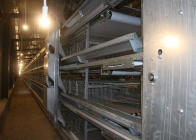 China High Efficiency Modern Poultry Cages Easy To Operate Q235 Steel Wire Material for sale