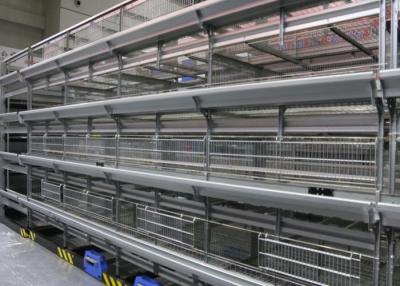 China Poultry H Type Broiler Chicken Cage For Meat Chicken Convenient Management for sale