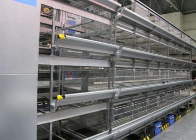 China Professional Poultry Brooder Cages / High Tech Poultry Cage 360 Degree Rotating for sale