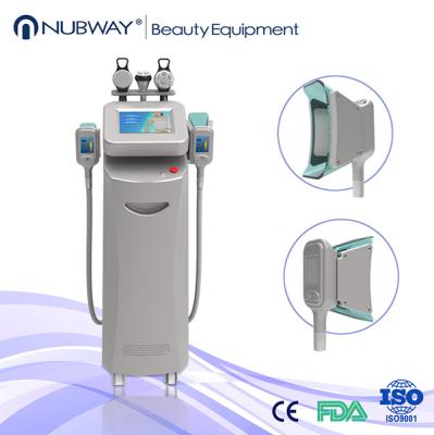 China Hot ! body slimming machine/cryotherapy weight loss cryolipolysis for sale