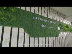 About Prismlab
