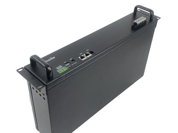 Quality Ecolite Battery Energy Storage System 48V 20Ah Lithium Iron Phosphate Battery for sale