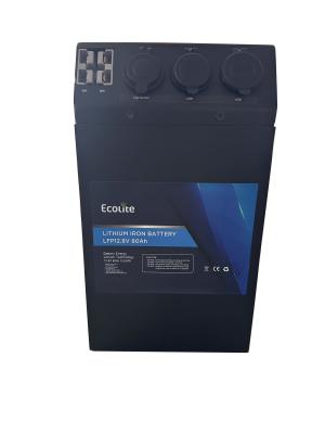 Китай ECOLITE быстрая зарядка LiFePO4 портативный энергохранилище литийный аккумулятор 12,8в 80А продается